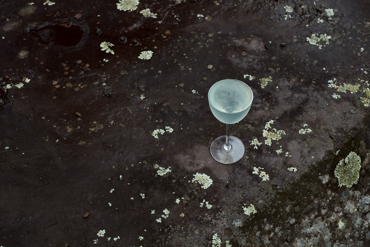 Ramp Gin | Isolation Proof