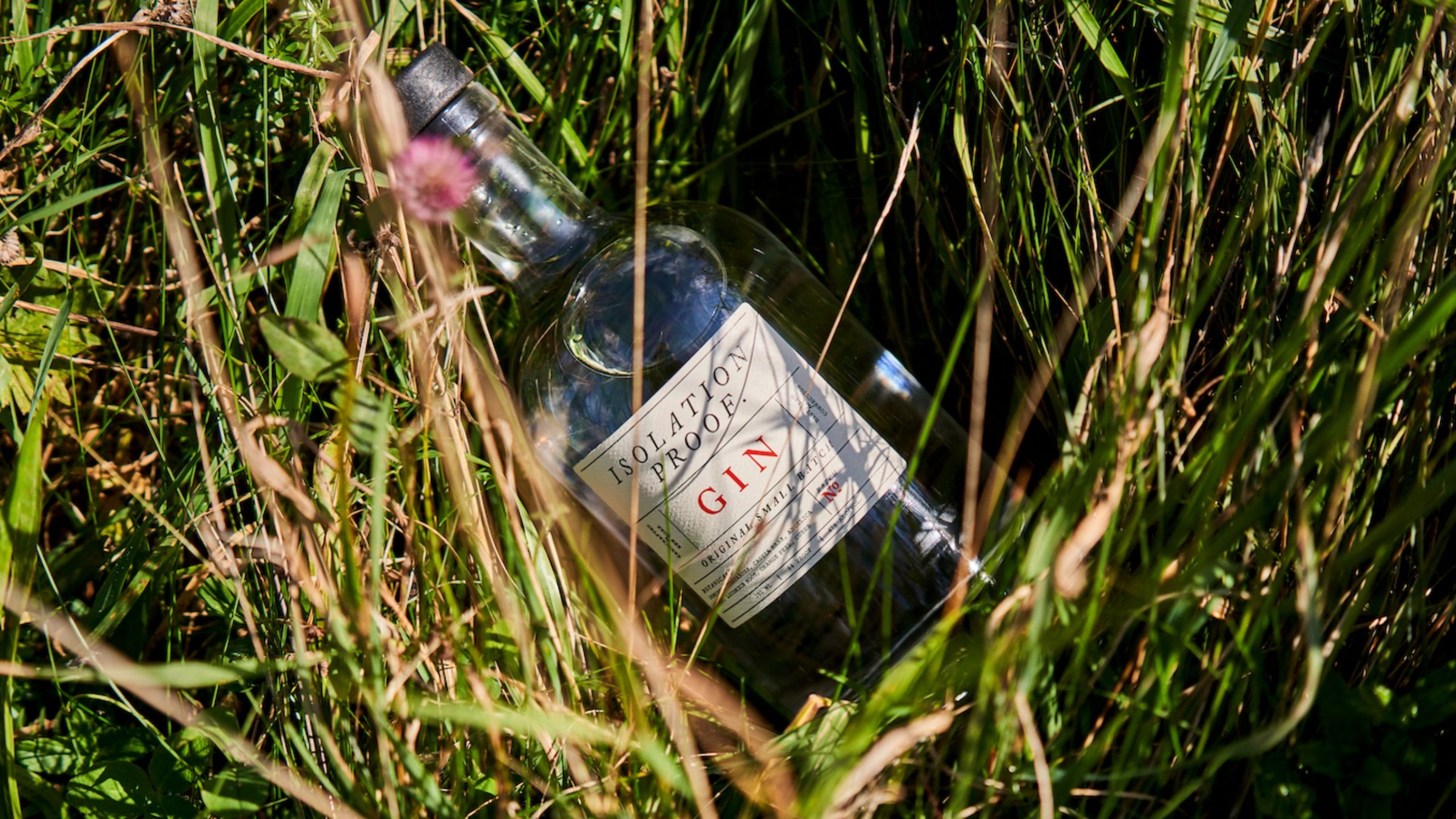 Isolation Proof | Home